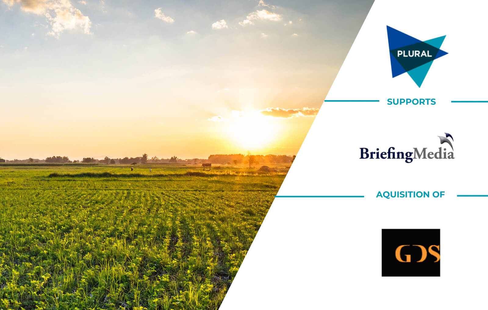 Plural Strategy | Commercial due diligence for Briefing Media’s ...