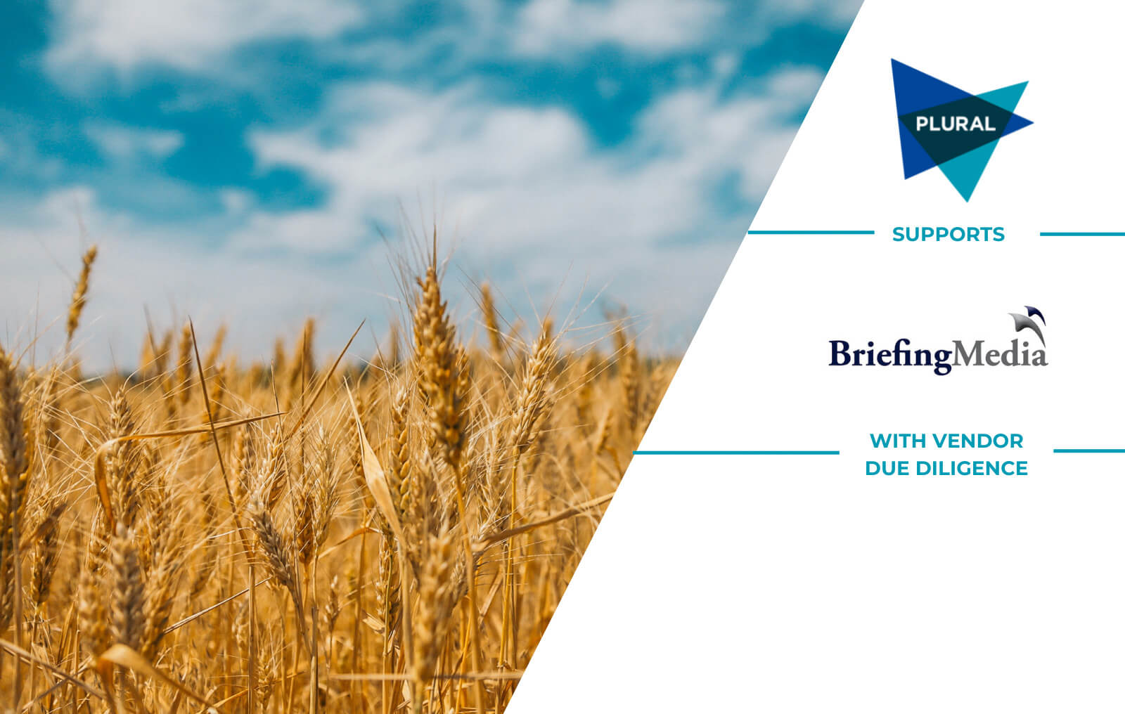 Plural Strategy | Vendor due diligence support for Briefing Media