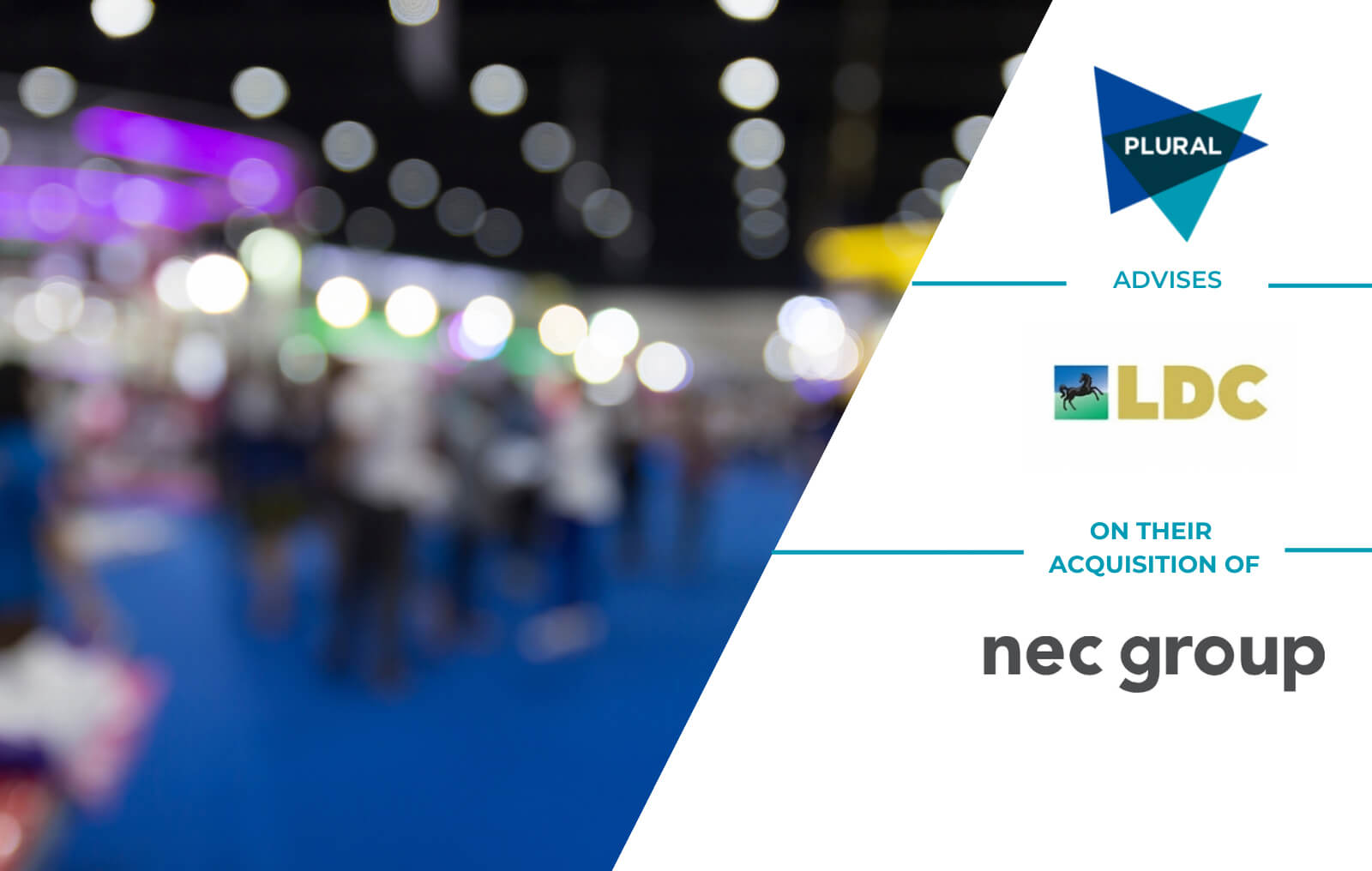 Commercial due diligence for LDC on acquisition of NEC Group