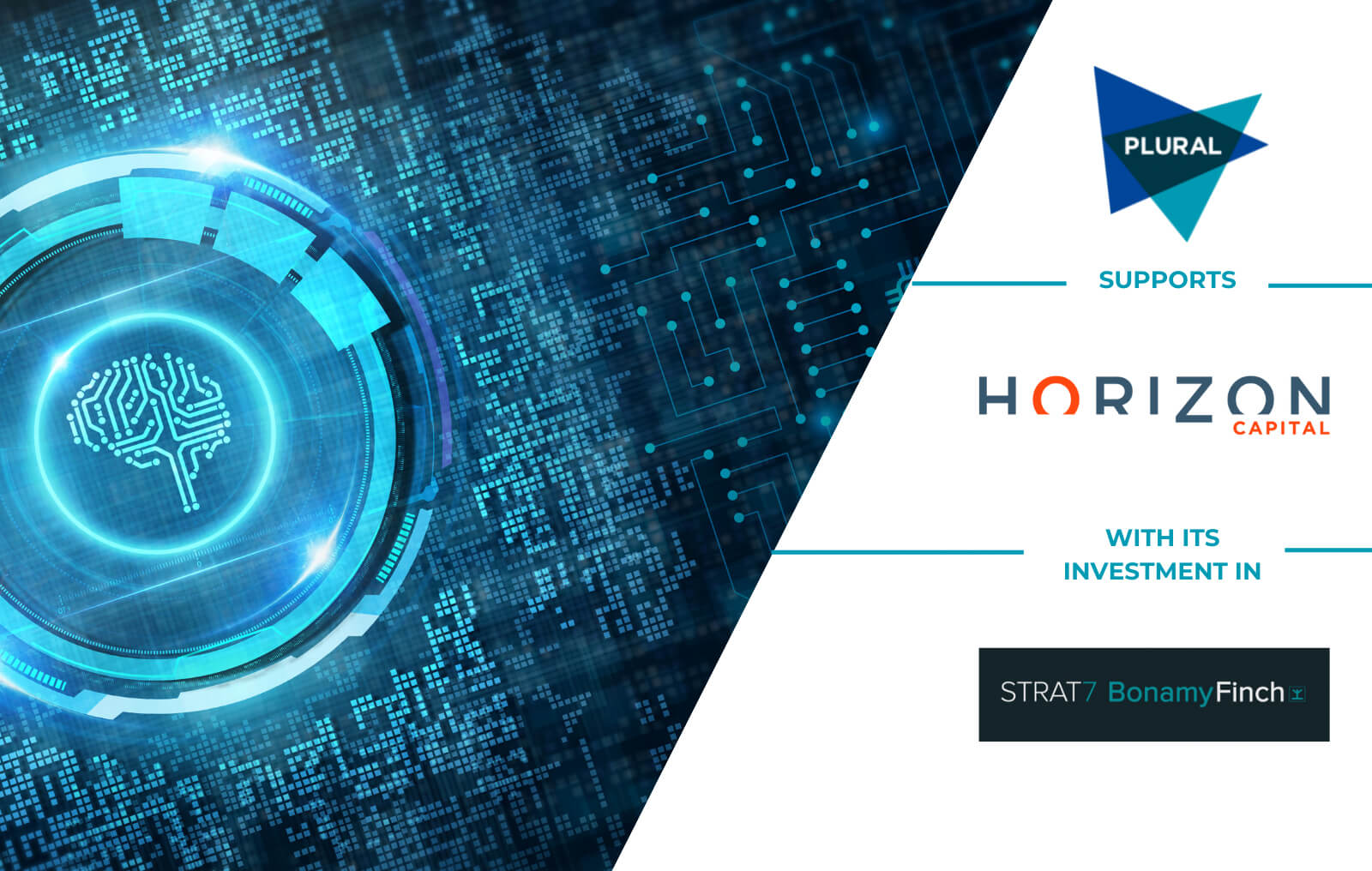 Commercial due diligence for Horizon Capital on investment in two ...