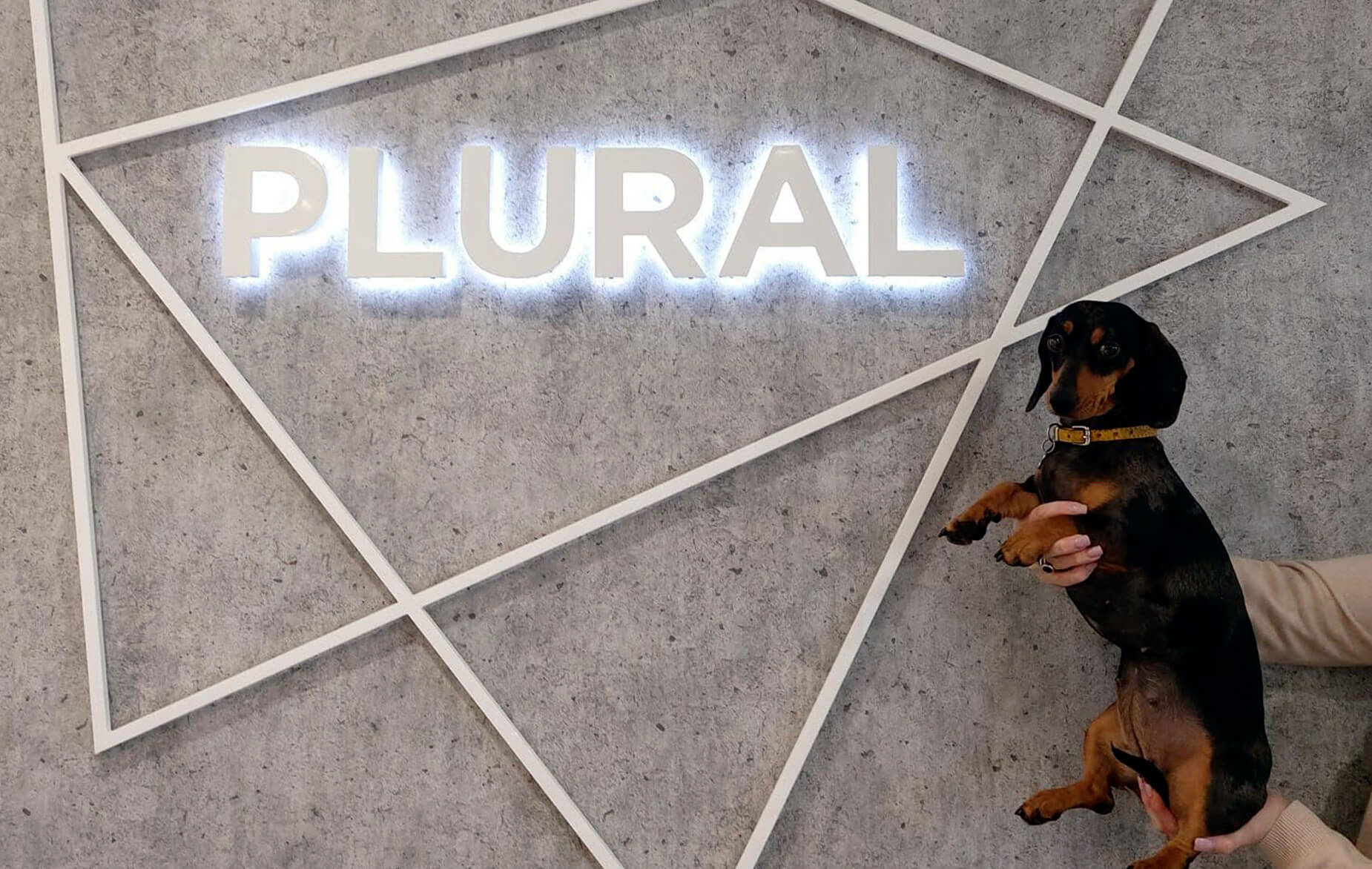 Plural Strategy | About