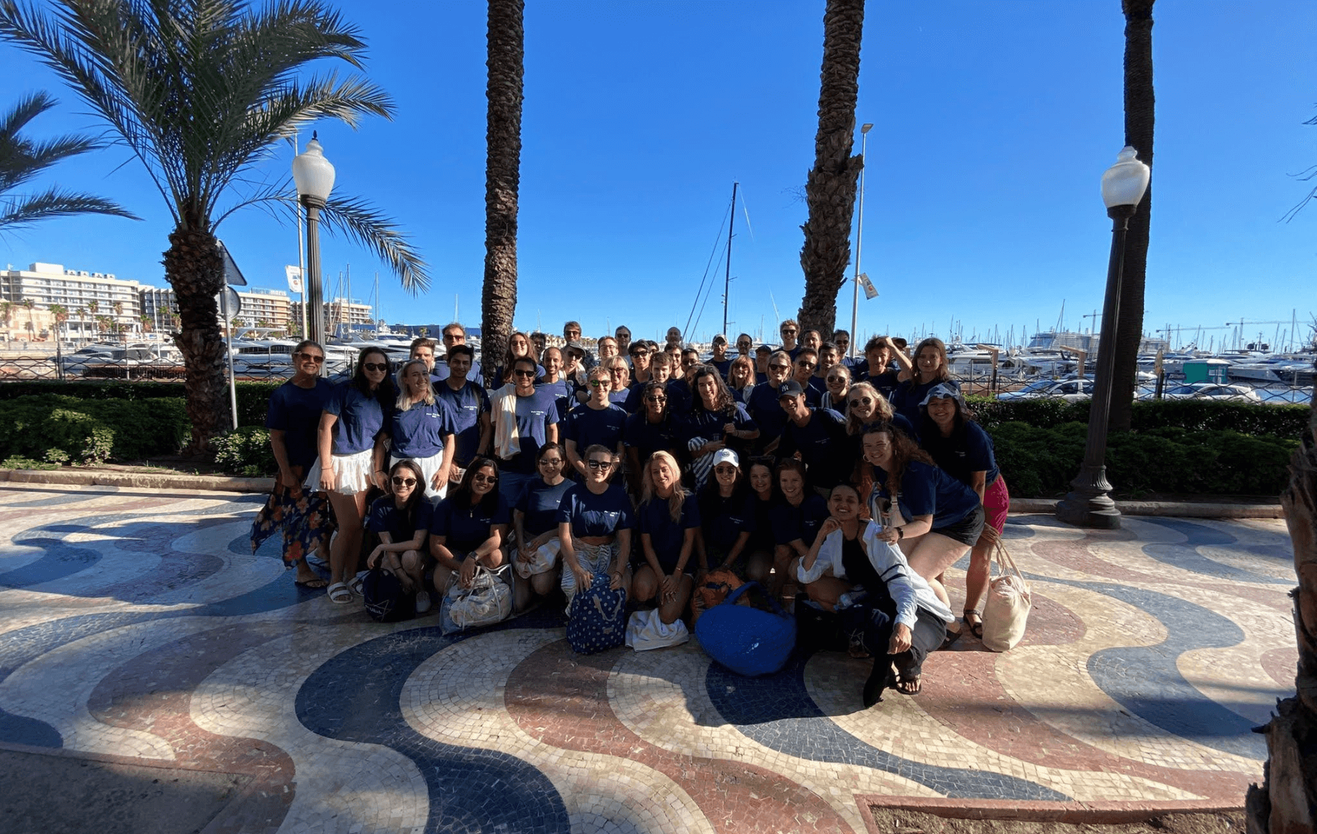 Plural Strategy | About