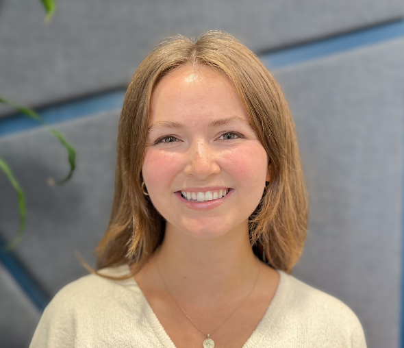 Plural Strategy | Annie Leach